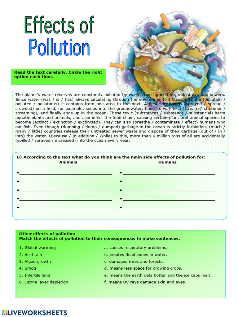 Pollution Reading Activity 2 | PDF | Pollution | Water
