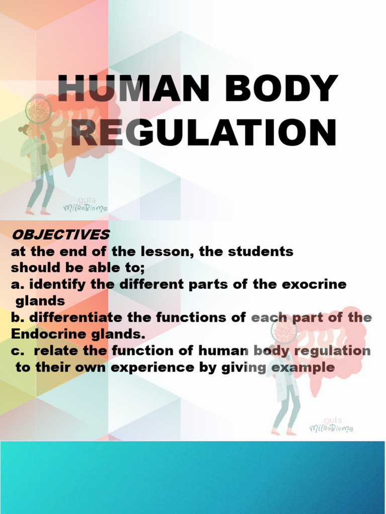HUMAN BODY REGULATION - Science 10 | PDF