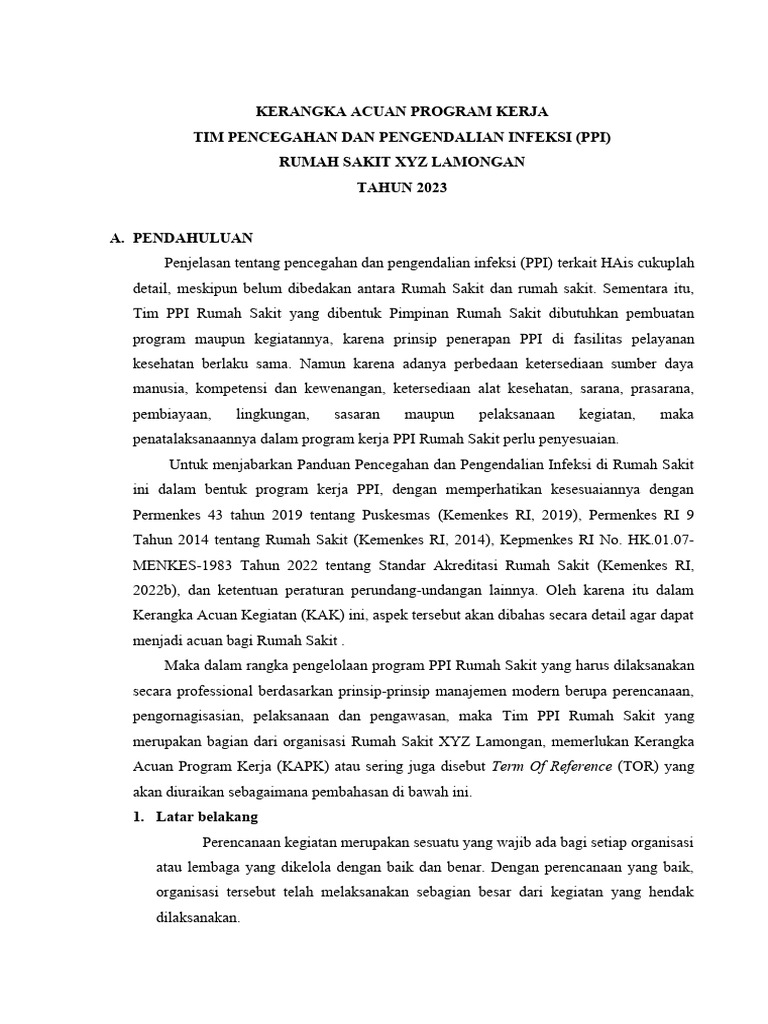 Contoh KAK Program Kerja PPI | PDF