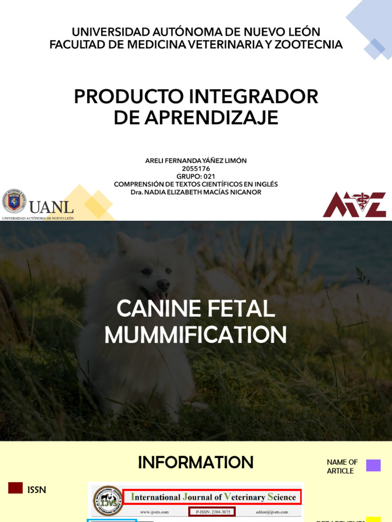 Canine Fetal Mummification | PDF | Fetus | Uterus
