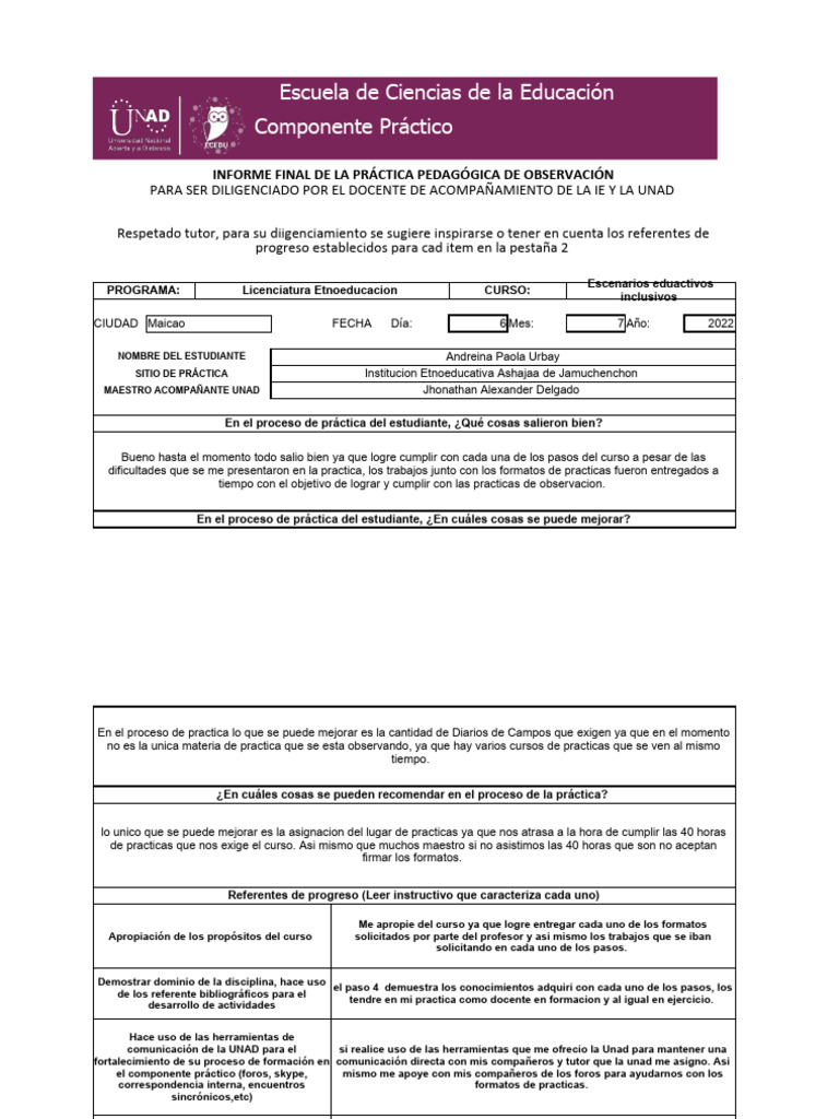 Informe Final Práctica Pedagógica Urbay | PDF | Aprendizaje | Comunicación humana