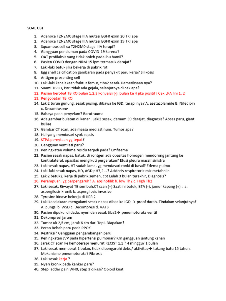 Soal CBT Anneke | PDF