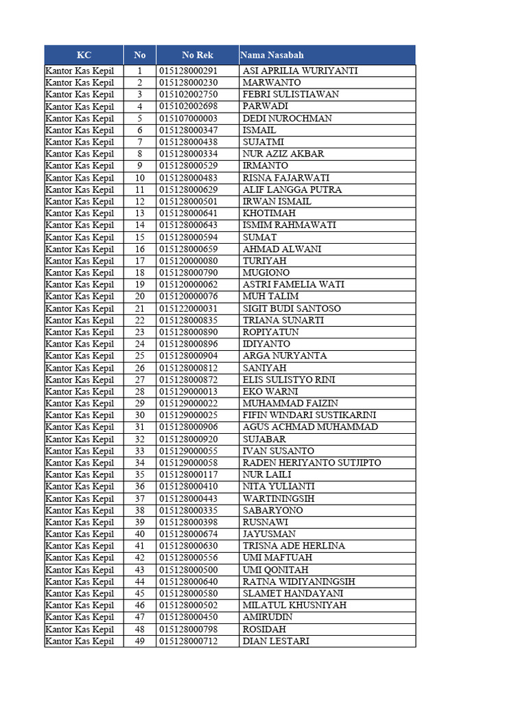 Action Plan NPL | PDF