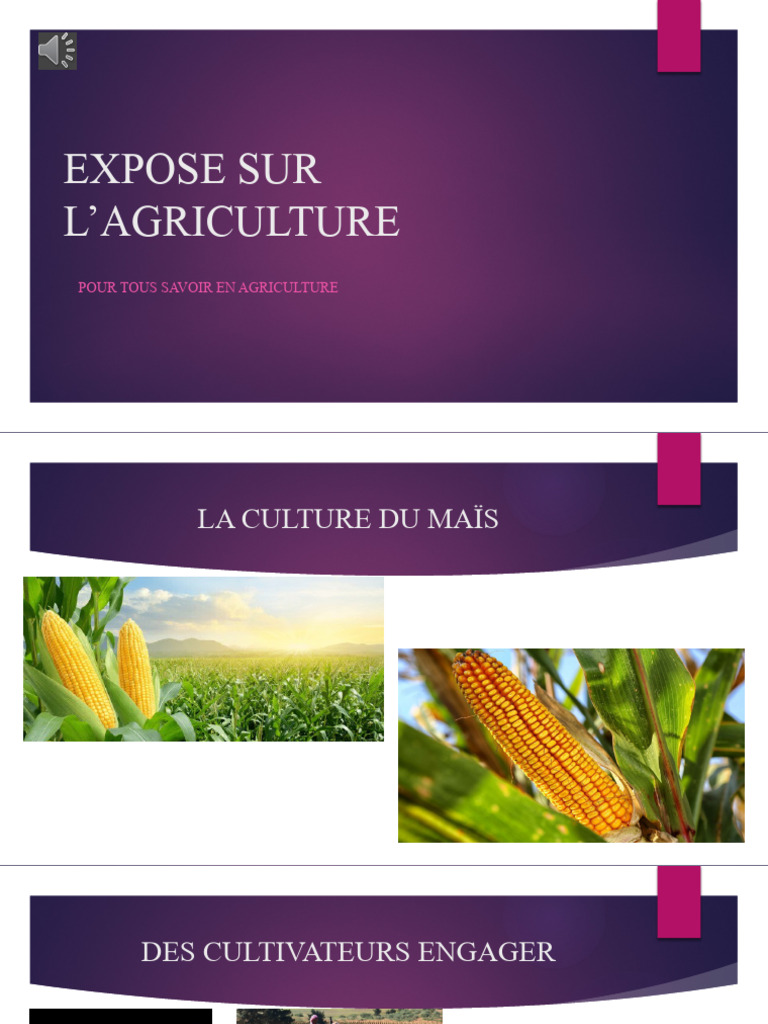 Expose Sur L'agriculture | PDF | Sciences sociales | Technologie et ingénierie