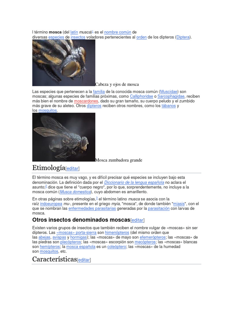 MOSCA Término | PDF | Mosca | Insectos