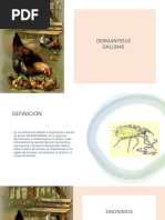 Criterios Iota Ecografia Ginecologica | PDF | Cáncer | Ovario