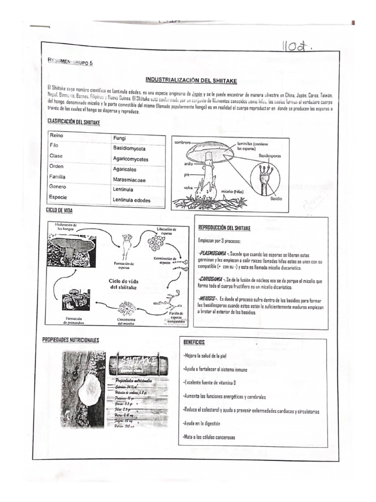 Presentaciones Micro | PDF