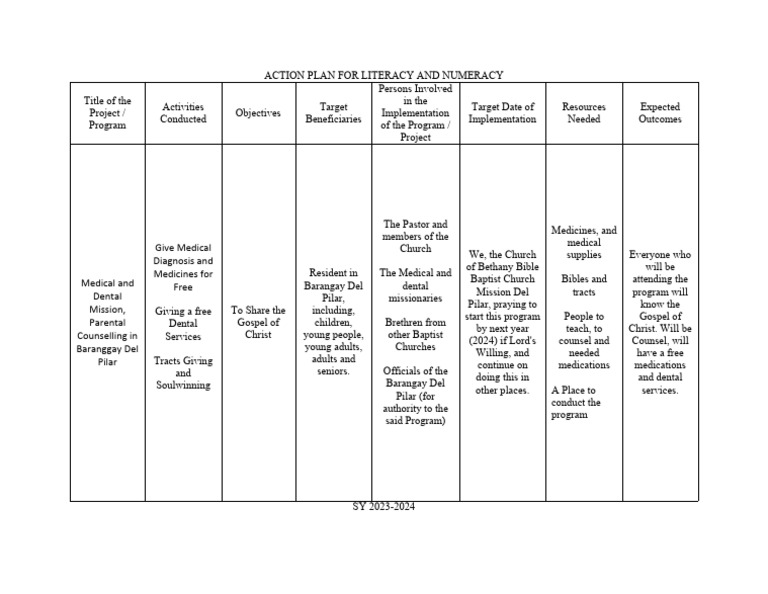 Action Plan For Literacy and Numeracy | Download Free PDF | Christian ...