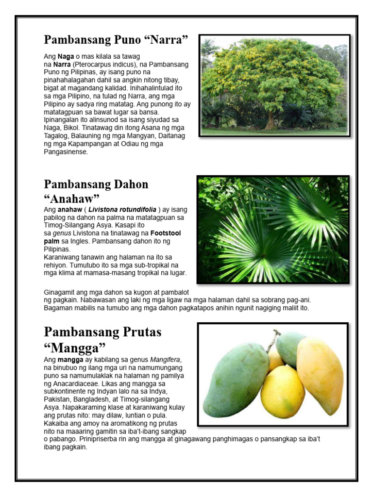 Pambansang SAGISAG NG PILIPINAS | PDF
