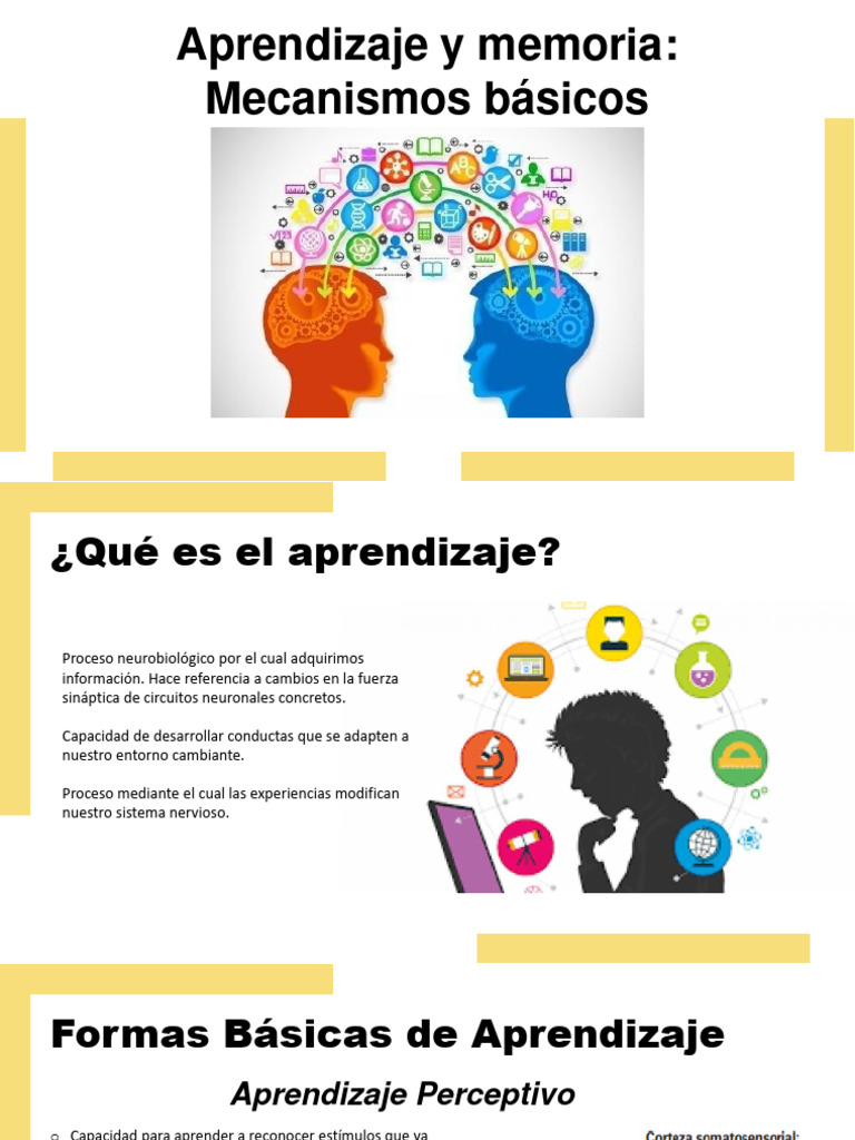 Clase 9 Aprendizaje Y Memoria Pdf Memoria Sinapsis