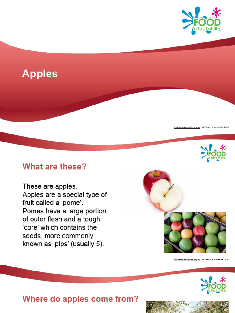 Apples PPT 711fcfv | PDF | Apple | Plants