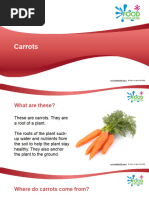Carrot | PDF