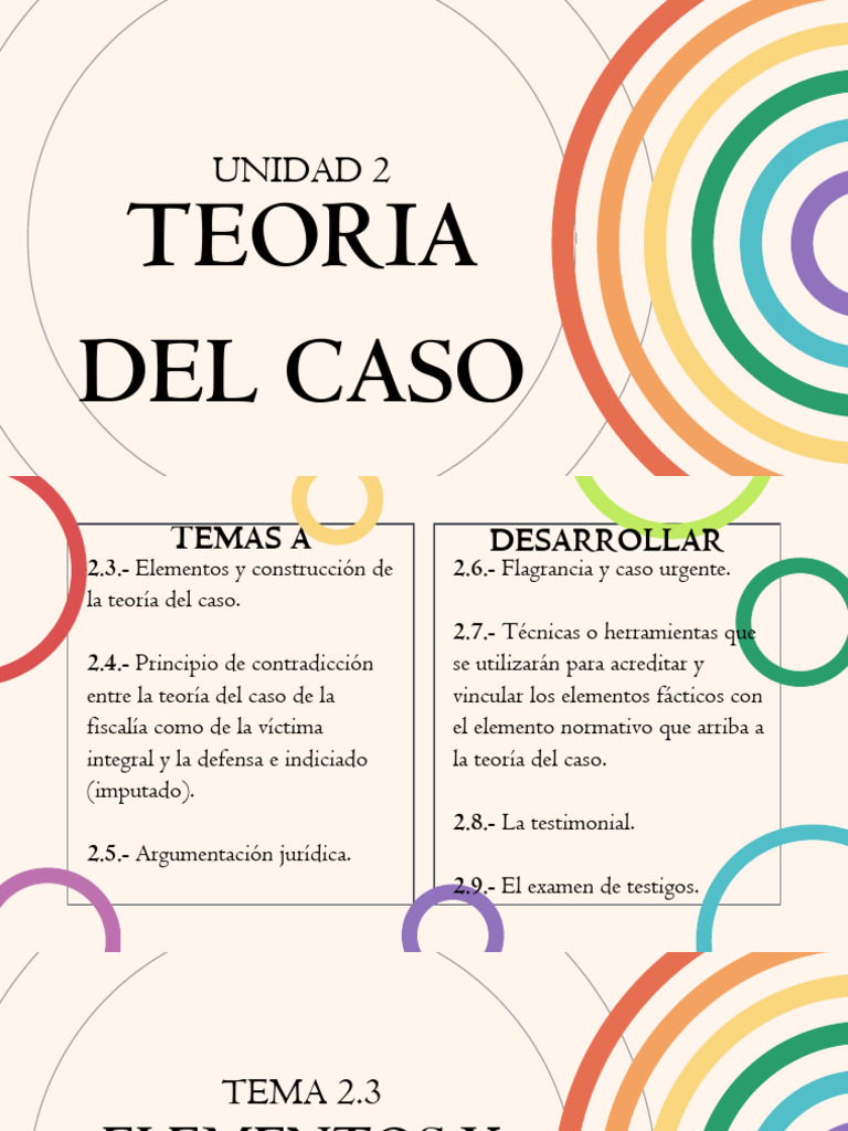 Teoria Del Caso | PDF | Derecho penal | Procedimiento Criminal