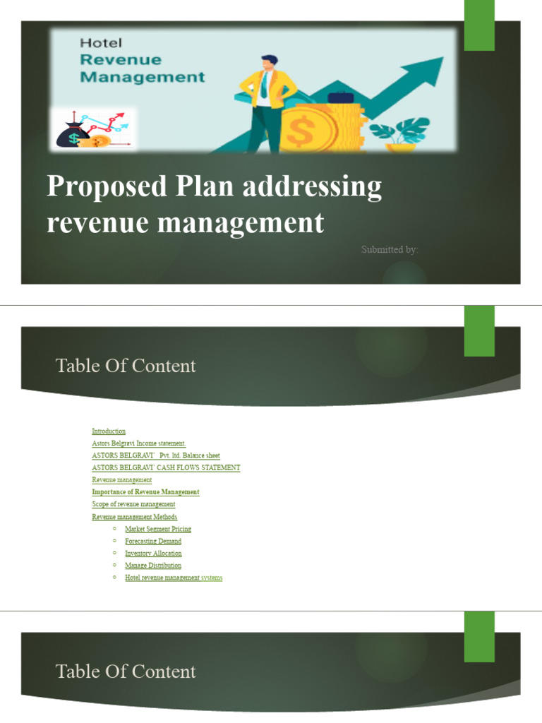 REPO1601085S Rose Revenue Management Reworked | PDF | Balance Sheet ...