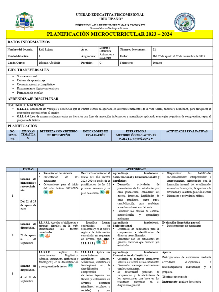 Plan de Animación A La Lectura-Décimo C | PDF | Evaluación | Aprendizaje