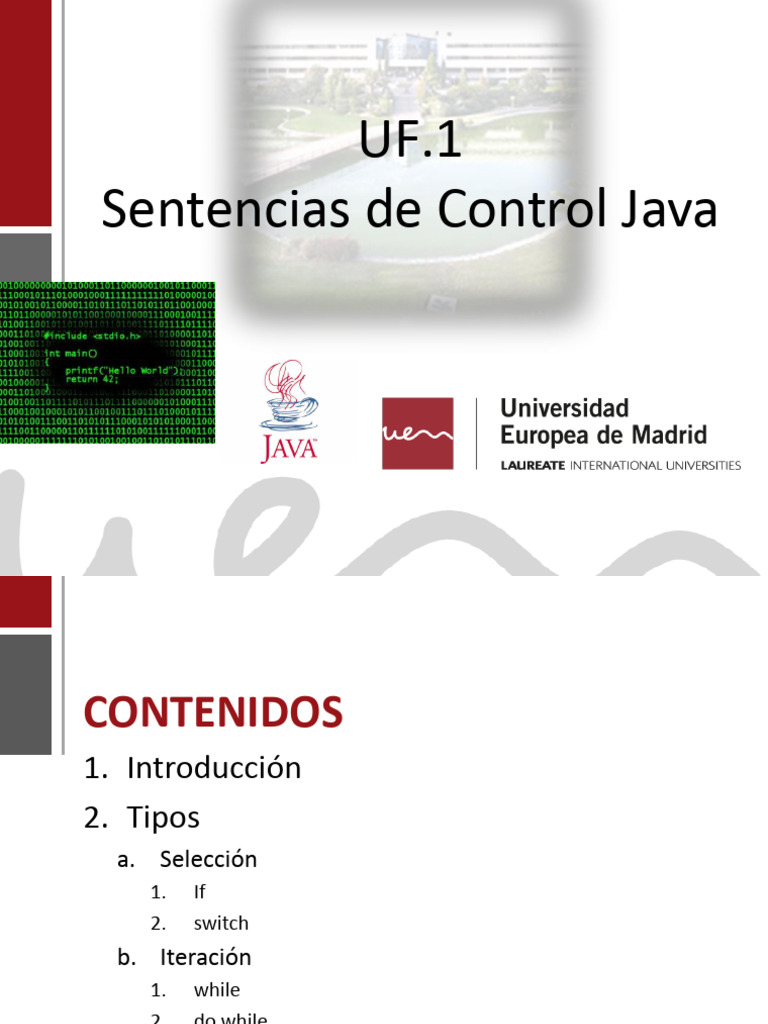 UF 4.1 - Sentencias de Control Java | PDF | Flujo de control | Ingeniería Informática