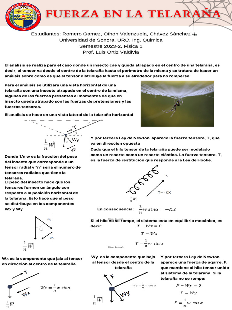 Análisis de Tensores en Telarañas | PDF | Fuerza | Telaraña