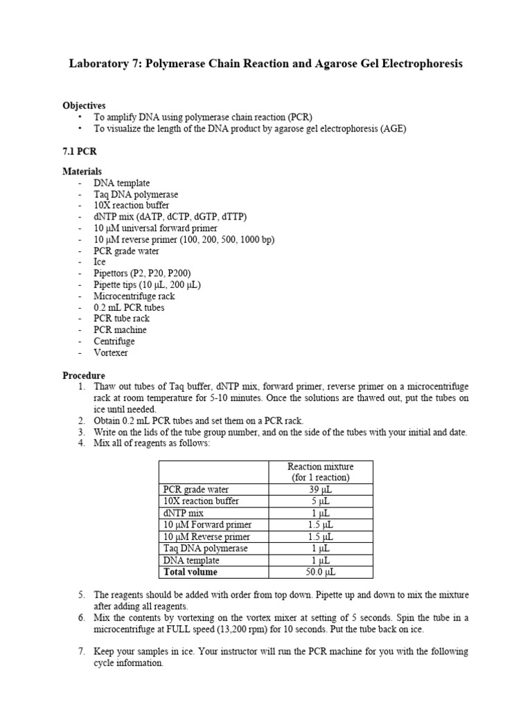 Polymerase Chain Reaction and Agarose Gel Electrophoresis | PDF ...