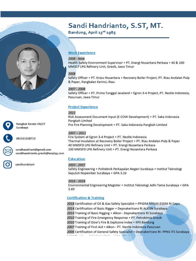 CV Sandi Handrianto | PDF | Science & Mathematics
