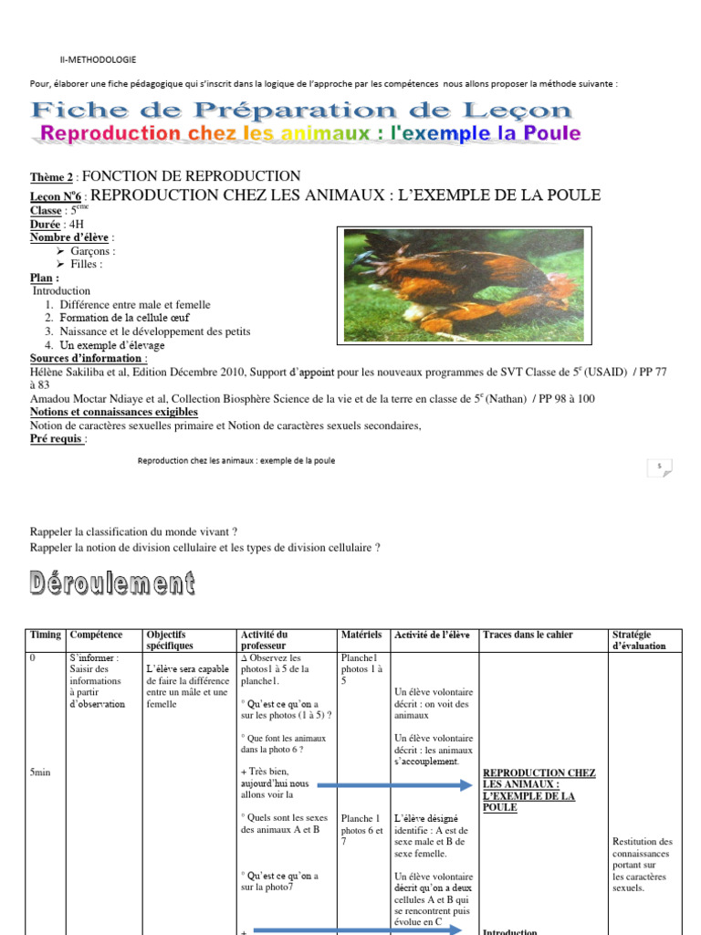 Reproduction animale : focus sur la poule | PDF | Fécondation | Mâle