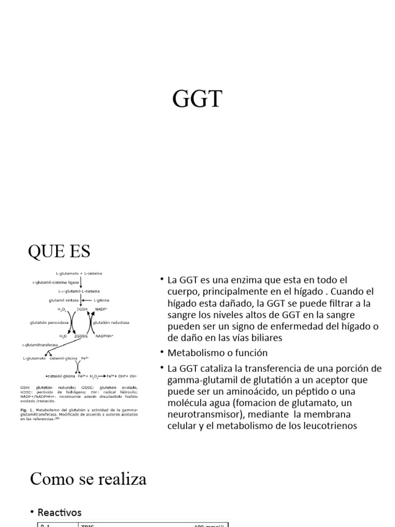 GGT | PDF | Ciencia y matemáticas