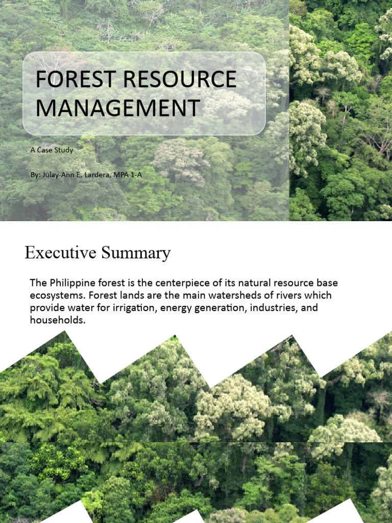 FOREST RESOURCE MANAGEMENT Case Study | PDF | Forestry | Forests