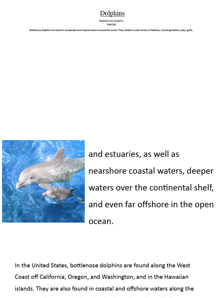 Bottlenose Dolphin Habitat & Lifespan | PDF