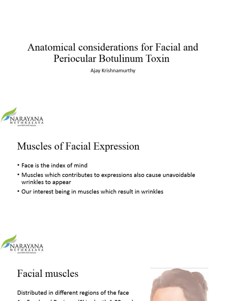 Botox Anatomy | PDF | Human Nose | Human Head And Neck