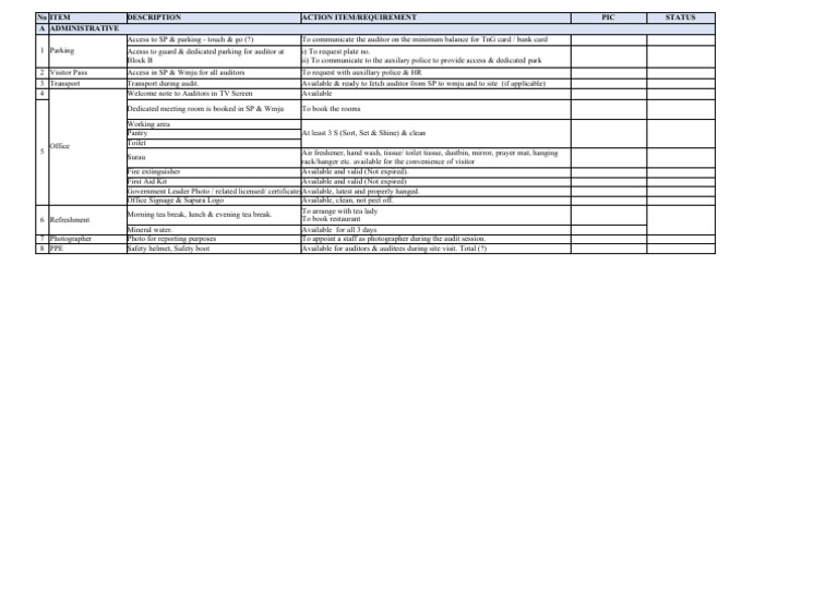 Audit Action Plan | PDF