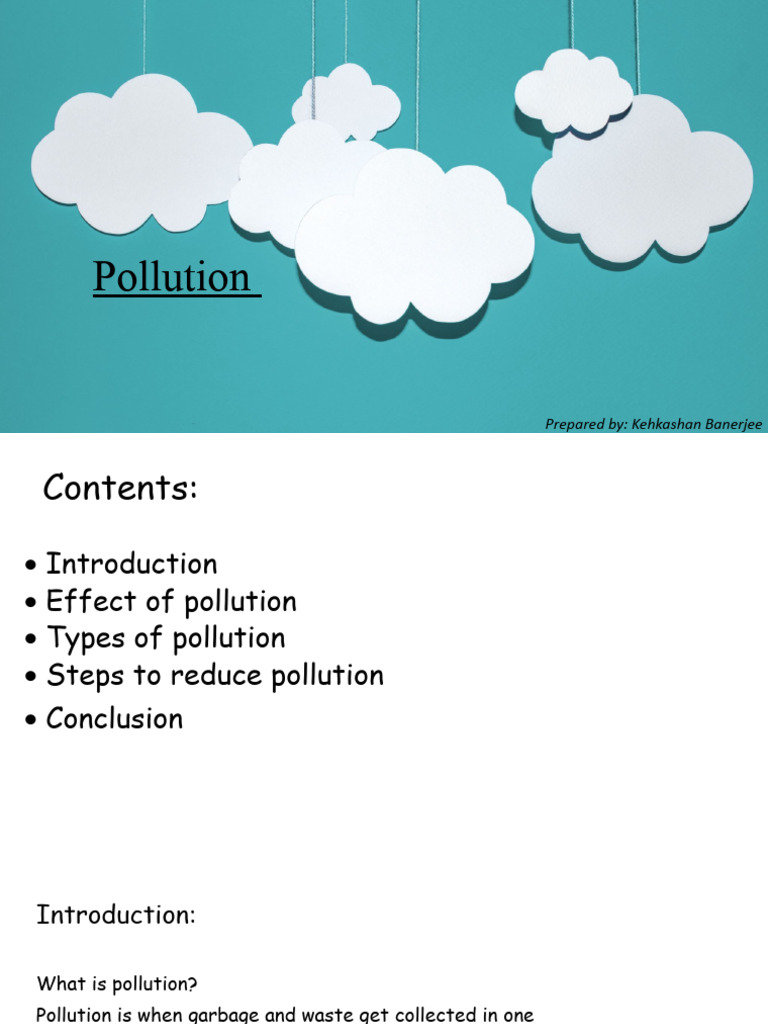 Pollution Presentation | PDF