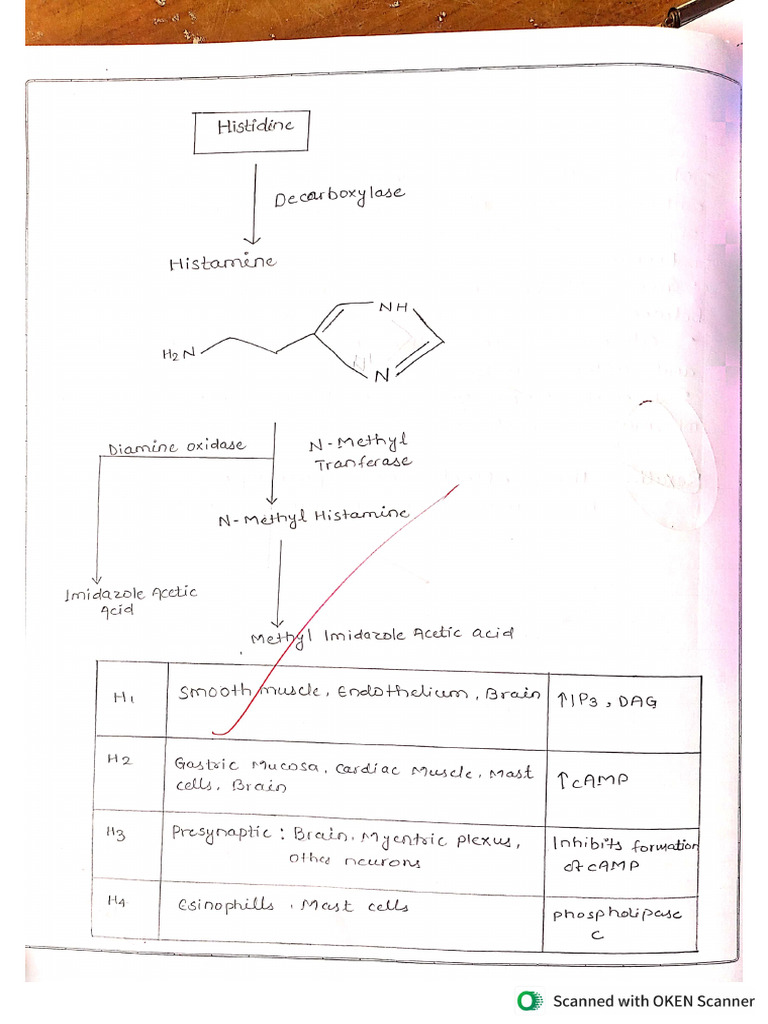 Pharmacology LL Experiment No - 2 | PDF