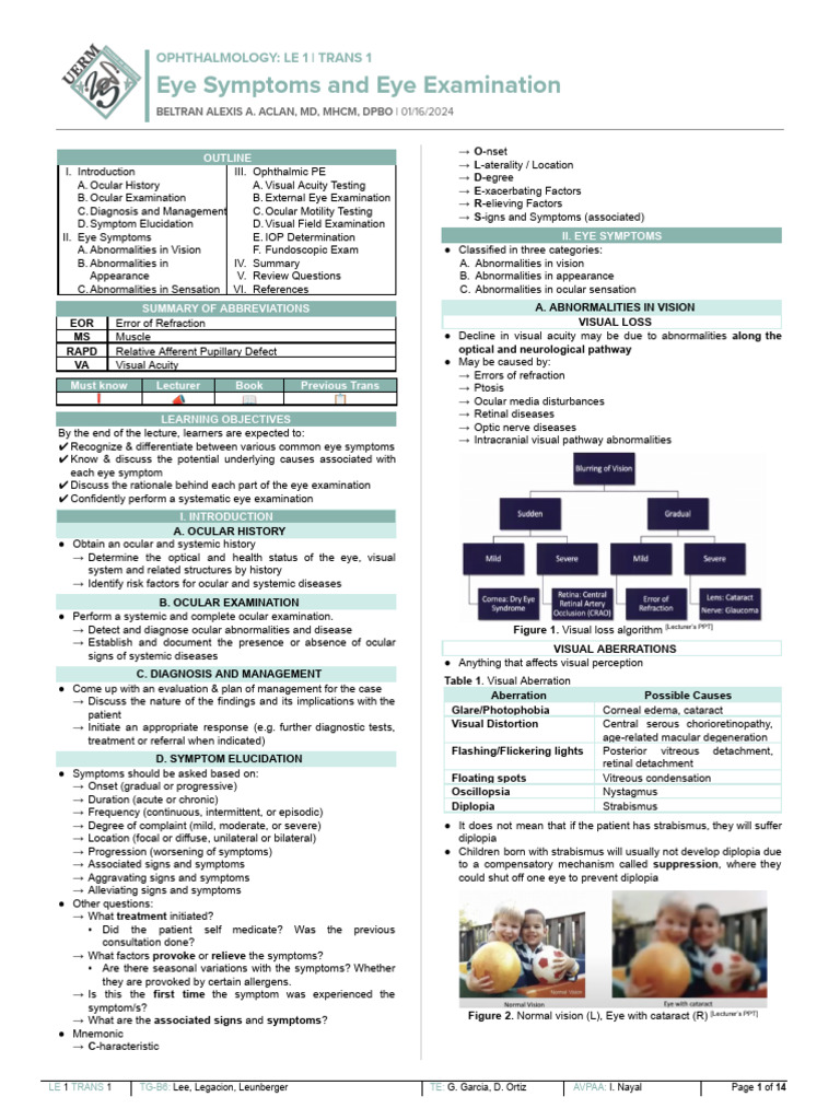[OPT] 1.01 Eye Symptoms and Eye Examination Aclan v2 | PDF | Visual Acuity | Human Eye