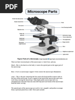 Microscope Parts and Functions Explained | PDF | Microscope | Optical Devices