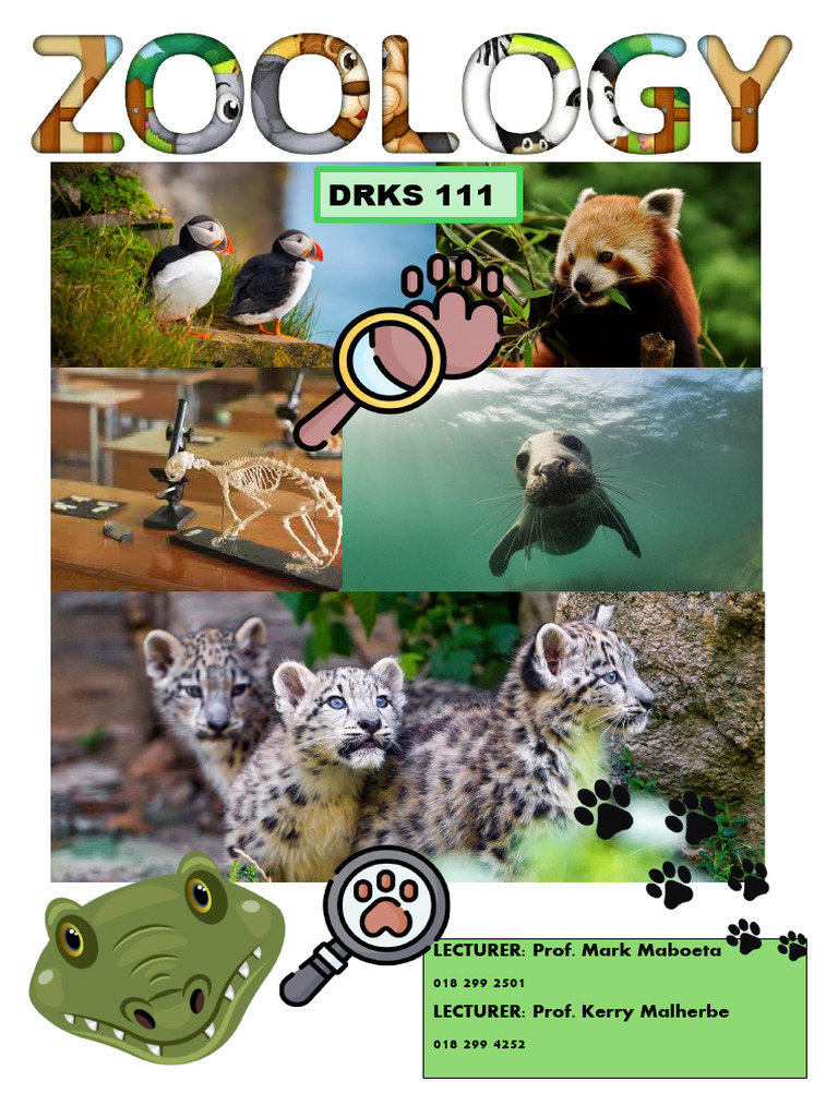 Zoology | PDF | Species | Tissue (Biology)