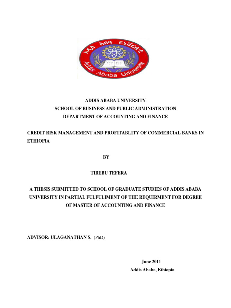 Tibebu Tefera | PDF | Loans | Banks