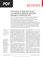 Morbid Curiosity Scale Development | PDF | Curiosity | Psychology