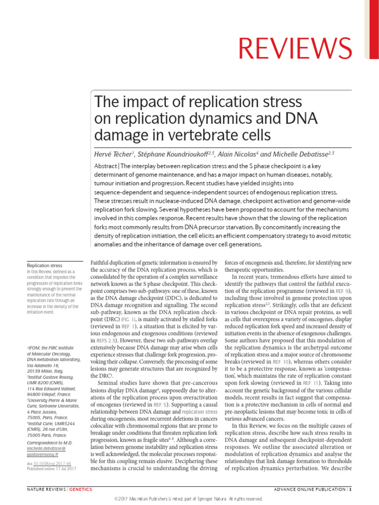 The Impact of Replication Stress On Replication Dynamics and DNA Damage ...