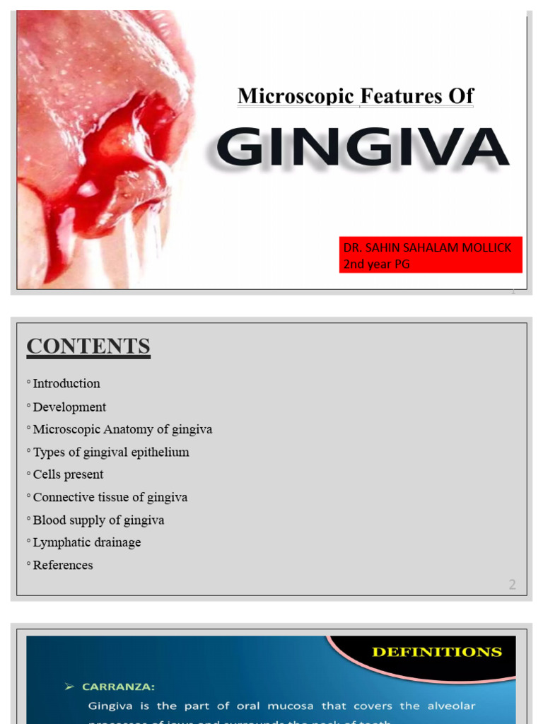 Microscopic Features of Gingiva | PDF | Epithelium | Connective Tissue