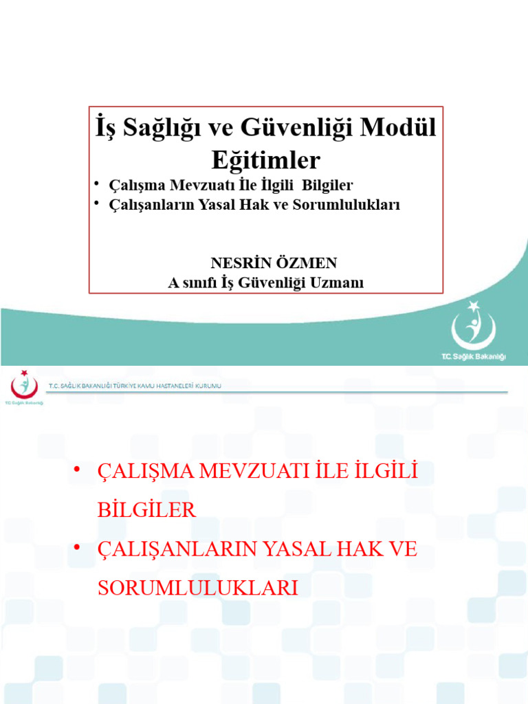 6331 Mevzuat | PDF