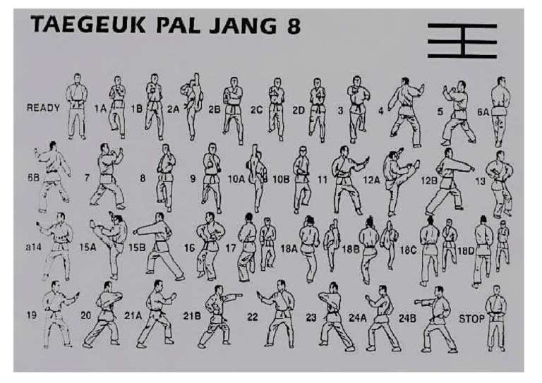 Taegeuk Pal 8 Pdf