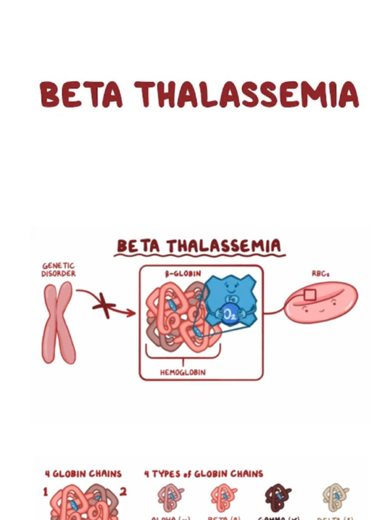 Thalassemia | PDF