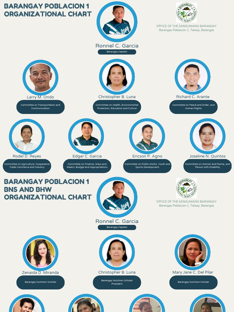 8 - Barangay Org Chart | PDF