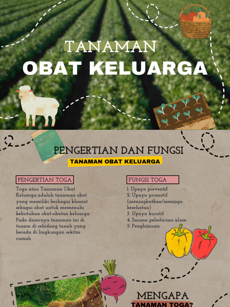 Jenis dan Manfaat Tanaman Toga | PDF