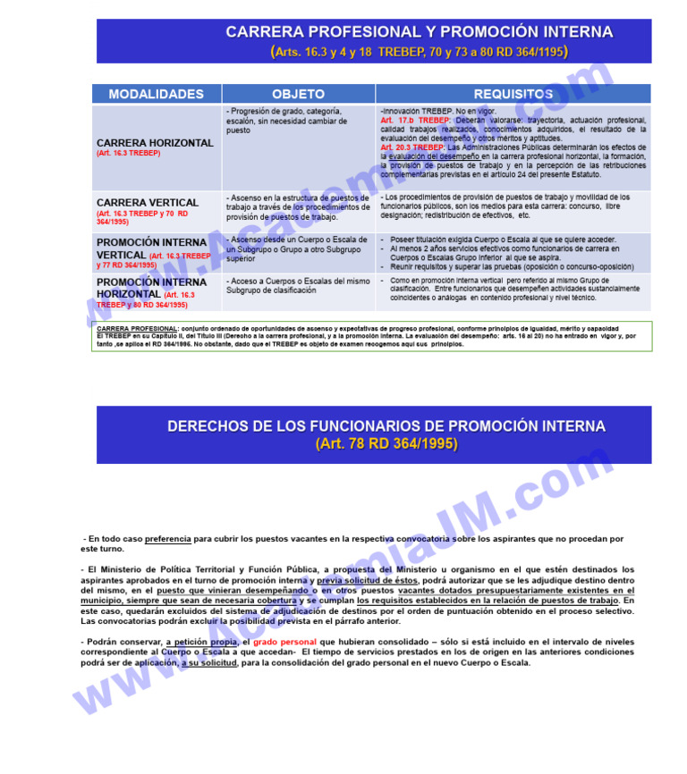 Esquema Carrera Profesional OEAP | PDF