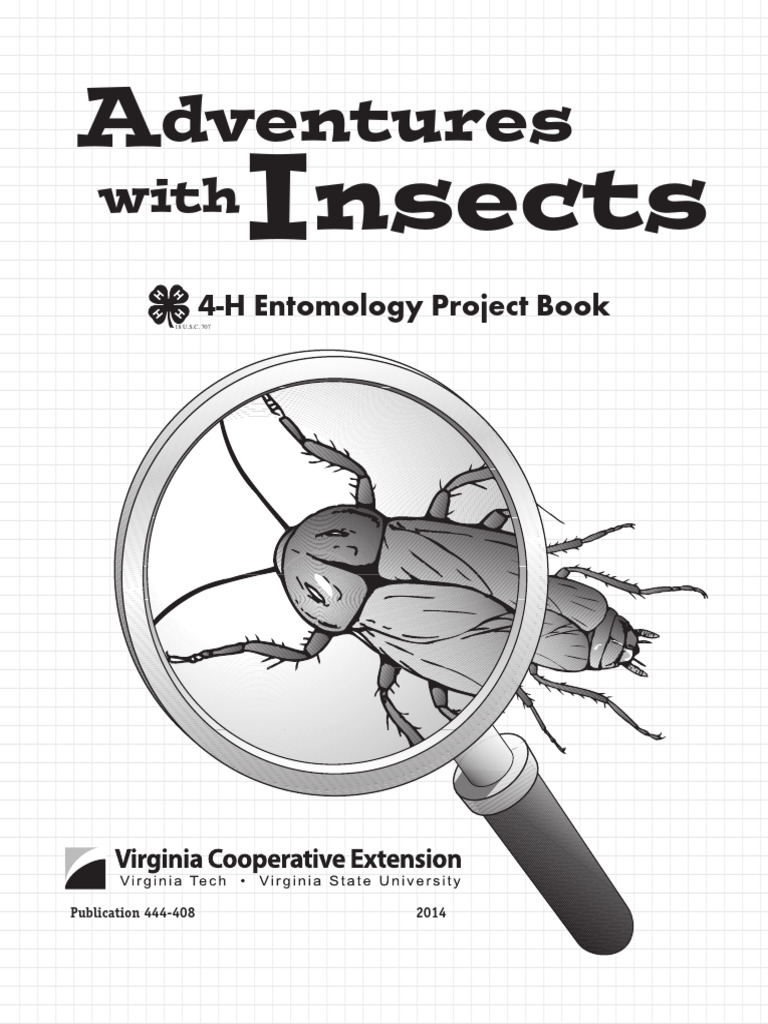 4-H Entomology Project Guide | PDF | Insects | Invertebrate