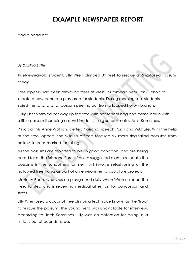 Example Newspaper Report | PDF