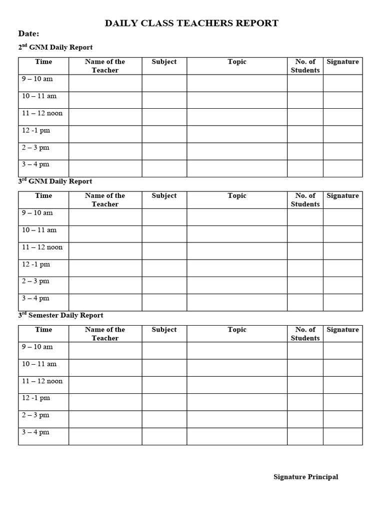 Daily Report of Teacher | PDF