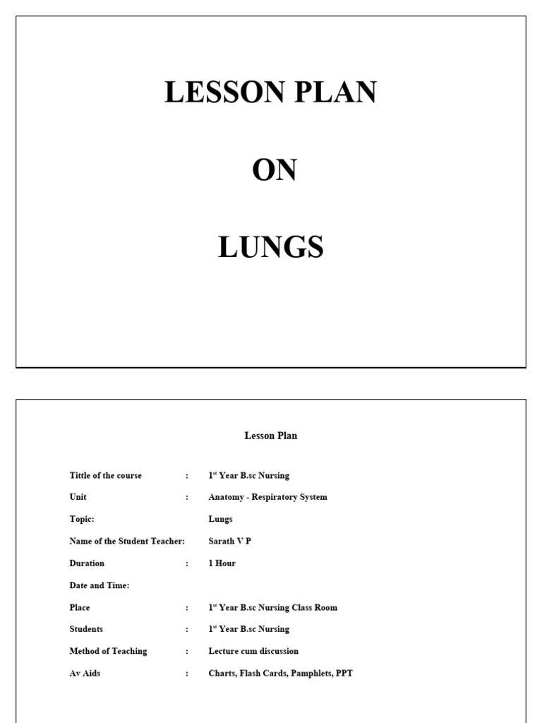Lesson Plan - Anatomy | PDF | Respiratory Tract | Lung
