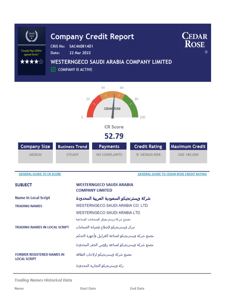 Westerngeco Saudi Arabia Credit Report | PDF | Qatar | United Arab Emirates