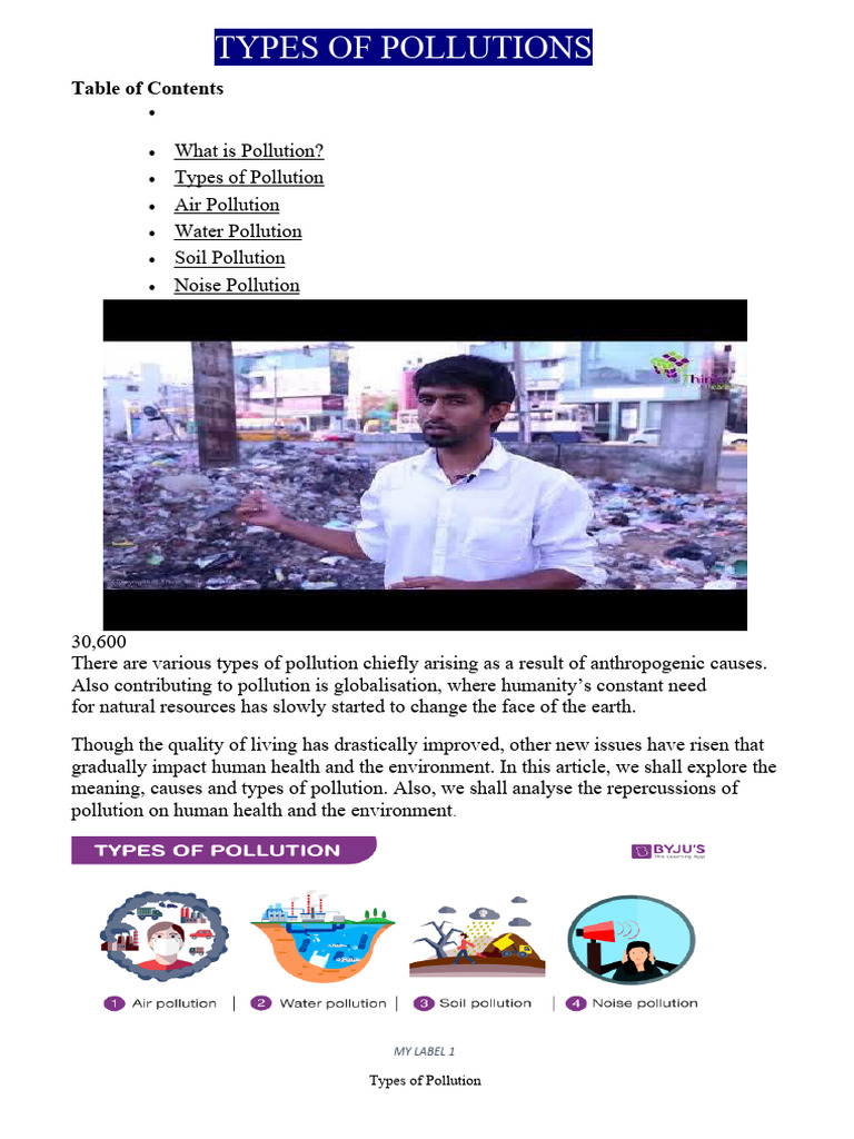 Types of Pollutions | PDF | Air Pollution | Water Pollution